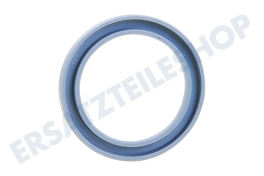 Bosch 166625 00166625 Dichtungsgummi Spülmaschine